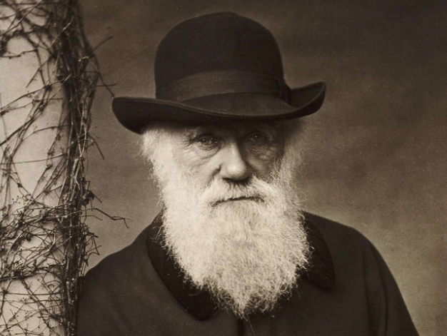 charles darwin self portrait - gaeanet